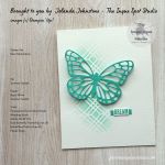 Bold Butterfly – Dream – The Inque Spot Studio